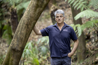 Timber industry advocates forced to apologise to high-profile scientist ...