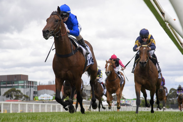 Godolphin team buying into the hype with Celerity on debut