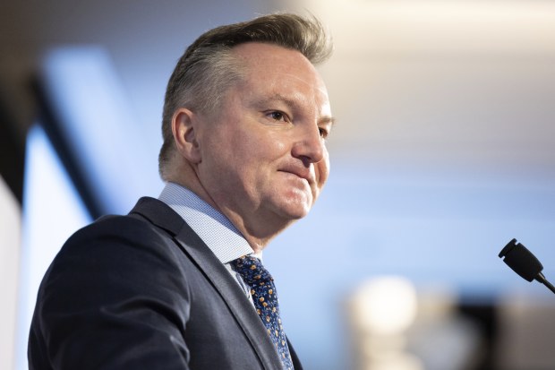 Chris Bowen says International carbon credit trading ‘several years away’