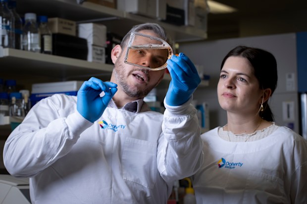 Superbugs, antibiotic: Australian scientists discover compound to ...