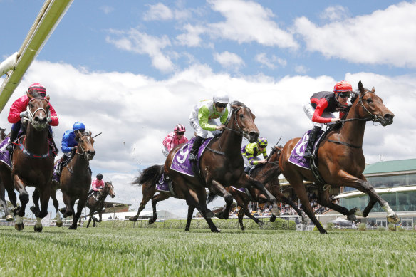 Newcastle races Monday: Imprinted to make mark on wet ground