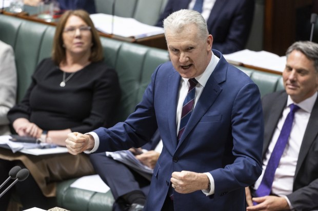 Same job, same pay: Business to target Tony Burke as industrial ...
