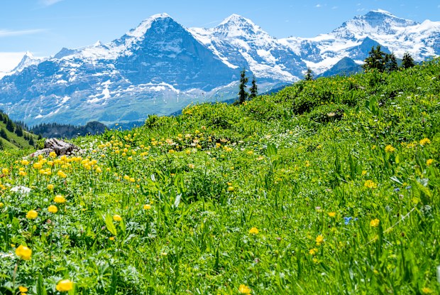 Gold and copper miner SolGold hopes Swiss tax treatment helps Cascabel ...