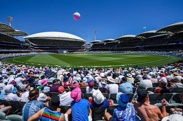 AI sports engagement brings fans closer to the cricket