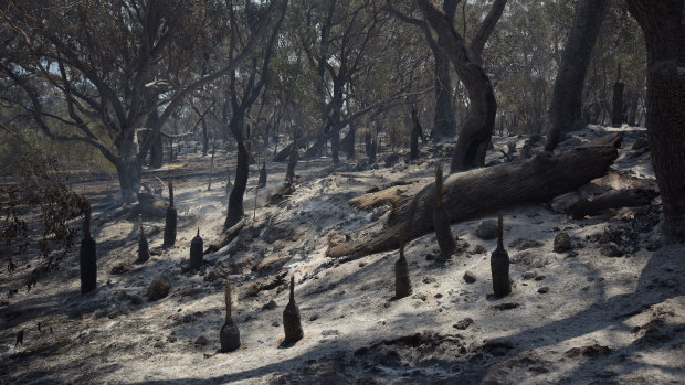 Perth fires LIVE: Bushfire emergency as city in the grip of a heatwave