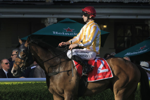 Horse racing: Mornington trainers David and Coral Feek celebrate ...