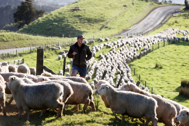 New Zealand recession will hit farmers the hardest