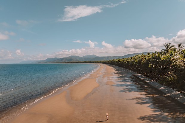 Where the rainforest meets the Reef | Nine.com.au