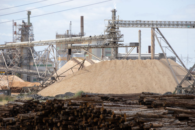 Nippon Paper Industries’ Opal Australia paper mill in Traralgon to ...