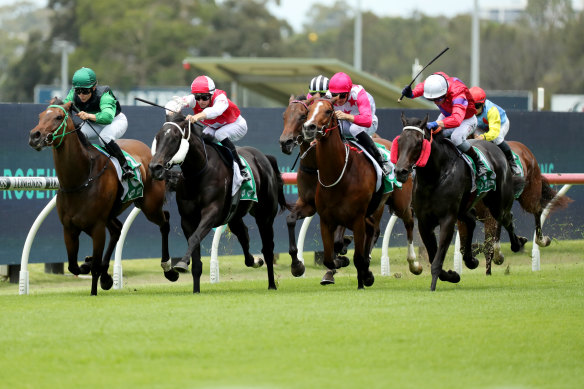 Highway winner ready to knuckle down again in Bega Cup quest