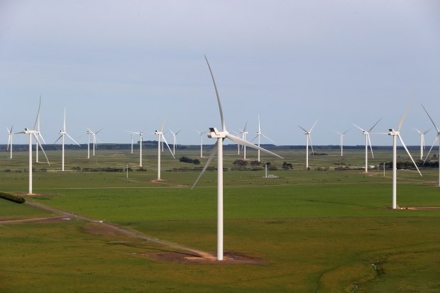 Wind, solar, hydrogen hubs lead the way as renewable energy ...