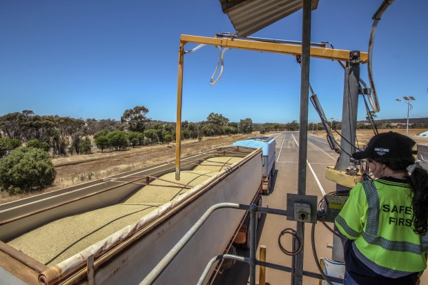 Interflour sale: Giant farming co-op looks to exit flour mill ...