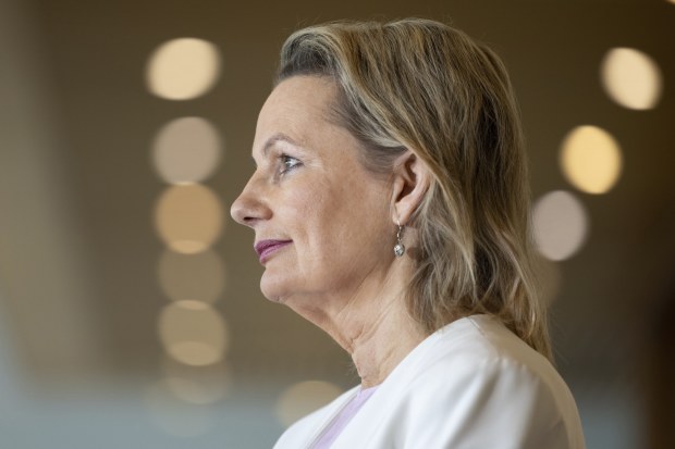Deputy Liberal leader Sussan Ley says No voters can still support ...