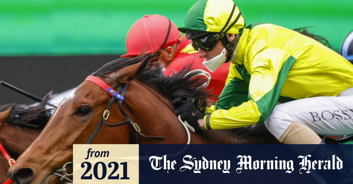 Tips and race-by-race preview for Moree on Sunday