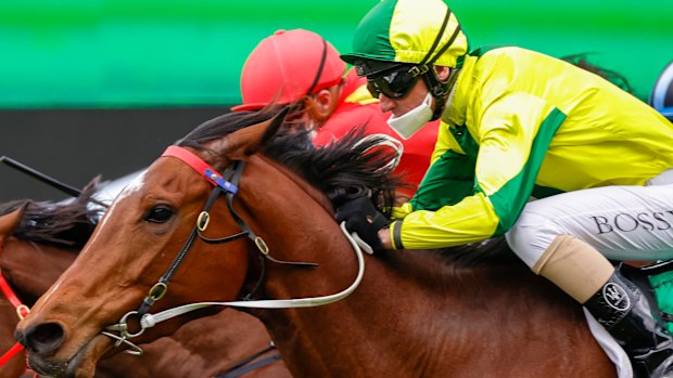 Tips and race-by-race preview for Moree on Sunday