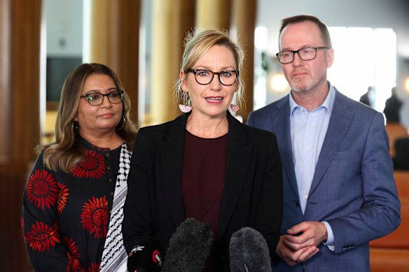 Greens to withhold support for hate speech bill