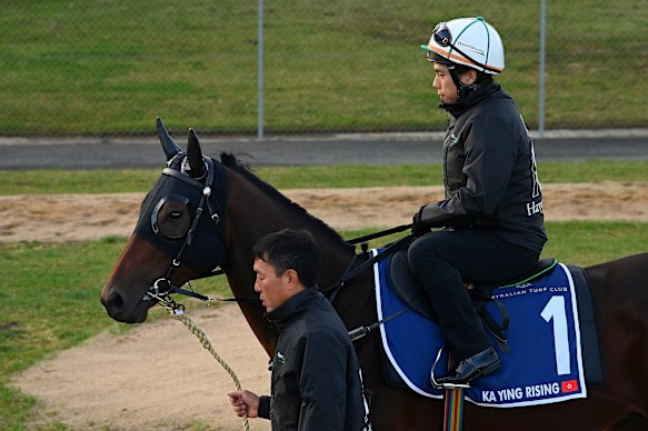 Everest 2025: Ka Ying Rising trainer David Hayes confident race ...