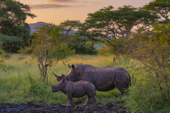 South Africa travel guide: 30 reasons everyone should visit Nelson ...