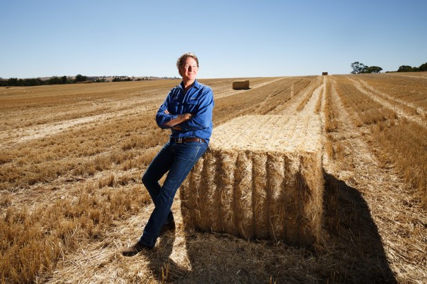 Omicron no barrier to record $78b farm gate output