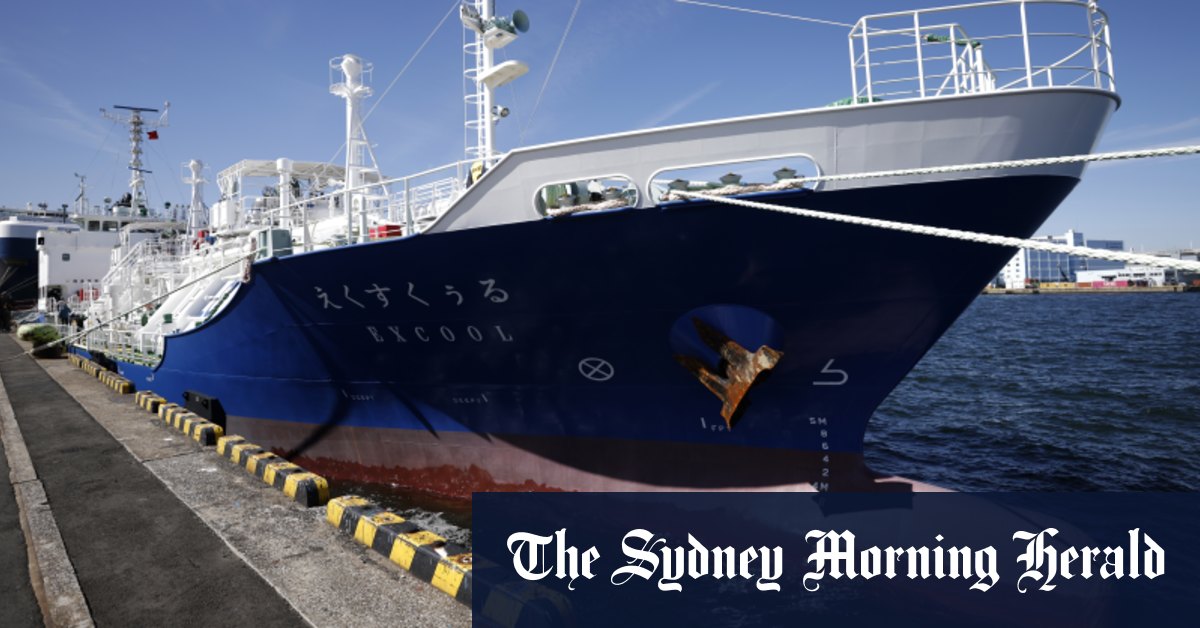 Excool ship: How Japan’s CO₂ tanker could be sued to trap and transport ...