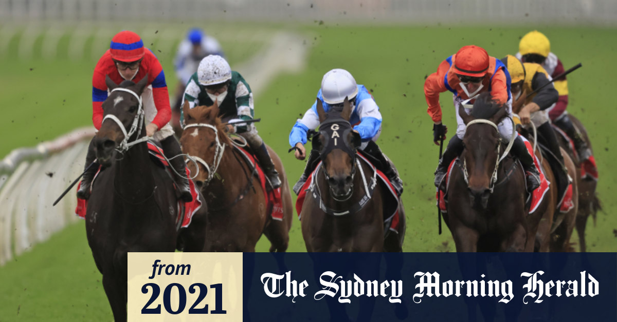 Verry Elleegant closes in on champion tag after George Main victory