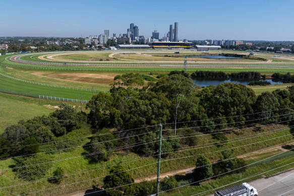 The Rosehill Racecourse redevelopment debate that has shocked me