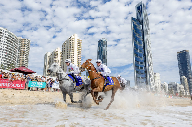Magic Millions Gold Coast yearling sale day 1: Royal racing adviser ...