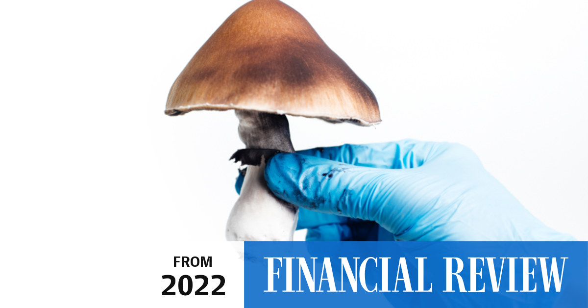 Main Sequence Ventures, Lionheart Ventures back Aussie psychedelics ...