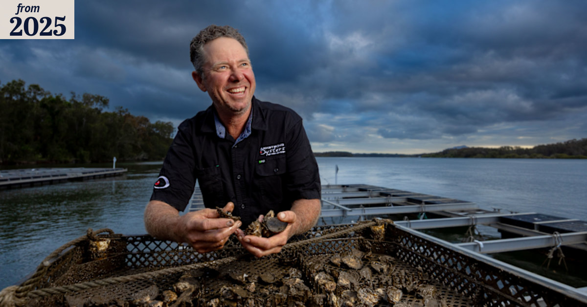 Oyster shortage: Climate disasters to affect Christmas supplies