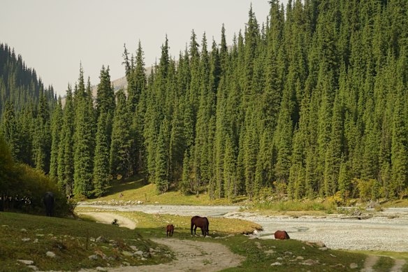 Kyrgyzstan travel guide: Why intrepid travellers are flocking to this ...