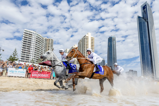 Gold Coast carnival: How Magic Millions got permission to run a horse ...