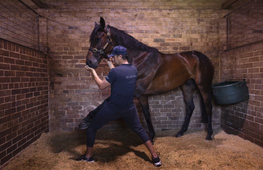 Melbourne Cup 2024: Meet horse physio Tom Simpson - don’t dare call him a horse whisperer