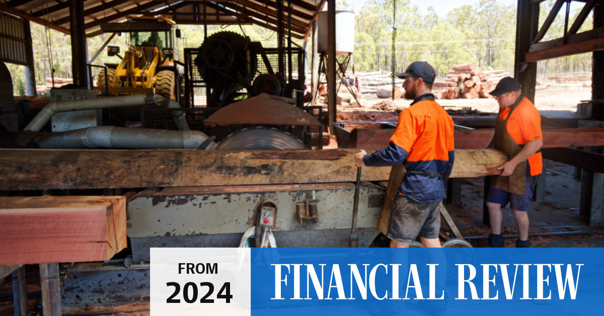 WA native logging ban: Forestry industry remains in the dark on day one