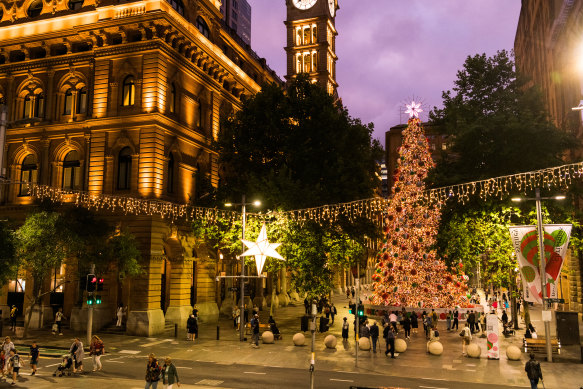Martin Place Christmas tree goes up in lights
