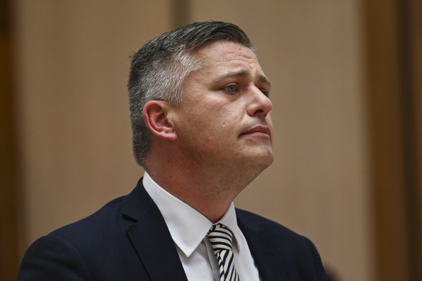 PwC, Deloitte, KPMG, EY consultants operate ‘beyond the law’: Brendan Lyon