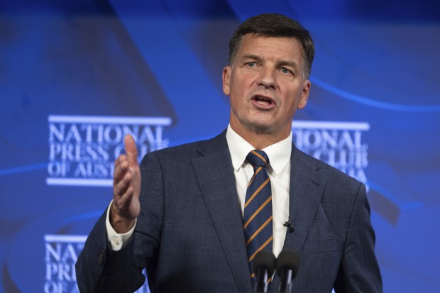 Nuclear energy: Liberal Angus Taylor and Ted O’Brien say nuclear power ...