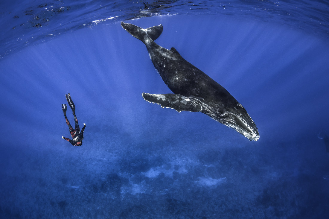 Introduction to freediving with Pierre Frolla at Académie Monégasque de ...