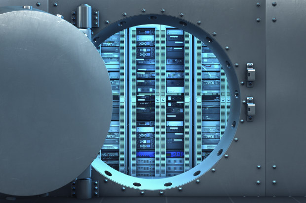 AFR Fast 100 list 2024: Novigi is the fastest growing professional ...