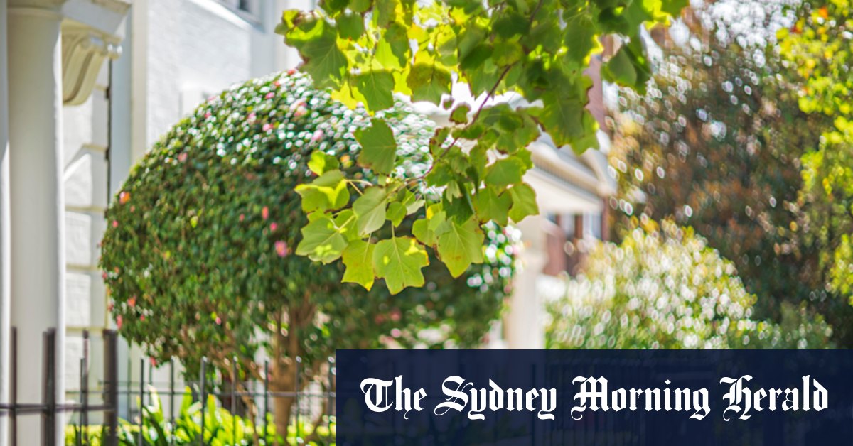 Full lela star called the booking agency a ring and managed