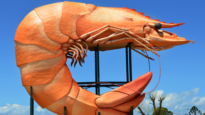 Ballina highlights unique attractions and evolving food scene beyond ...