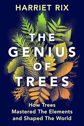 The Genius Of Trees book review: Harriet Rix explores the vital role of ...
