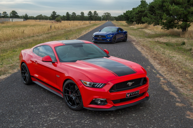 Accountant Steve Di Petta and wife Venetta Di Petta have assets frozen ...