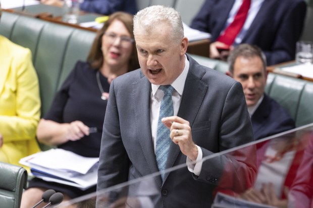 Labor appoints union officials to Fair Work Commission to fix Coalition ...