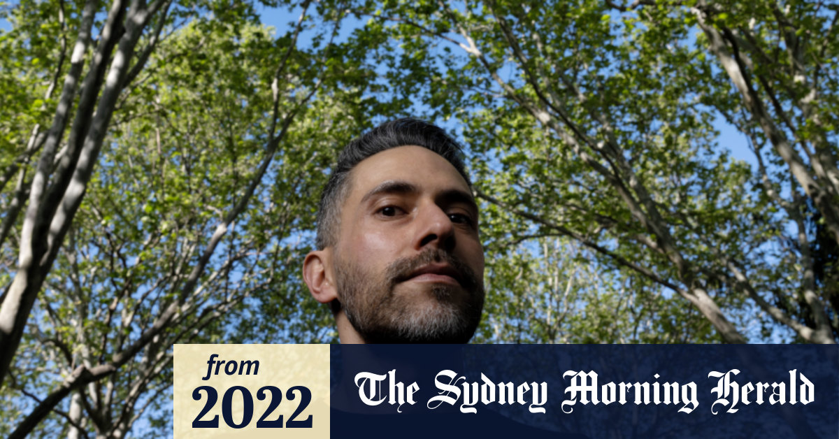 Sydney’s inner-city to get thousands of trees to increase canopy cover