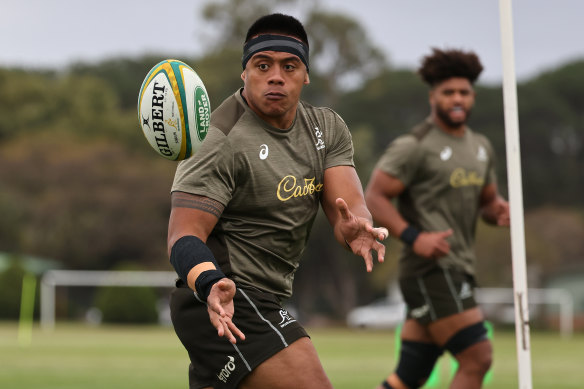 Rugby union 2022: Introducing Allan Alaalatoa, the new Wallabies ...