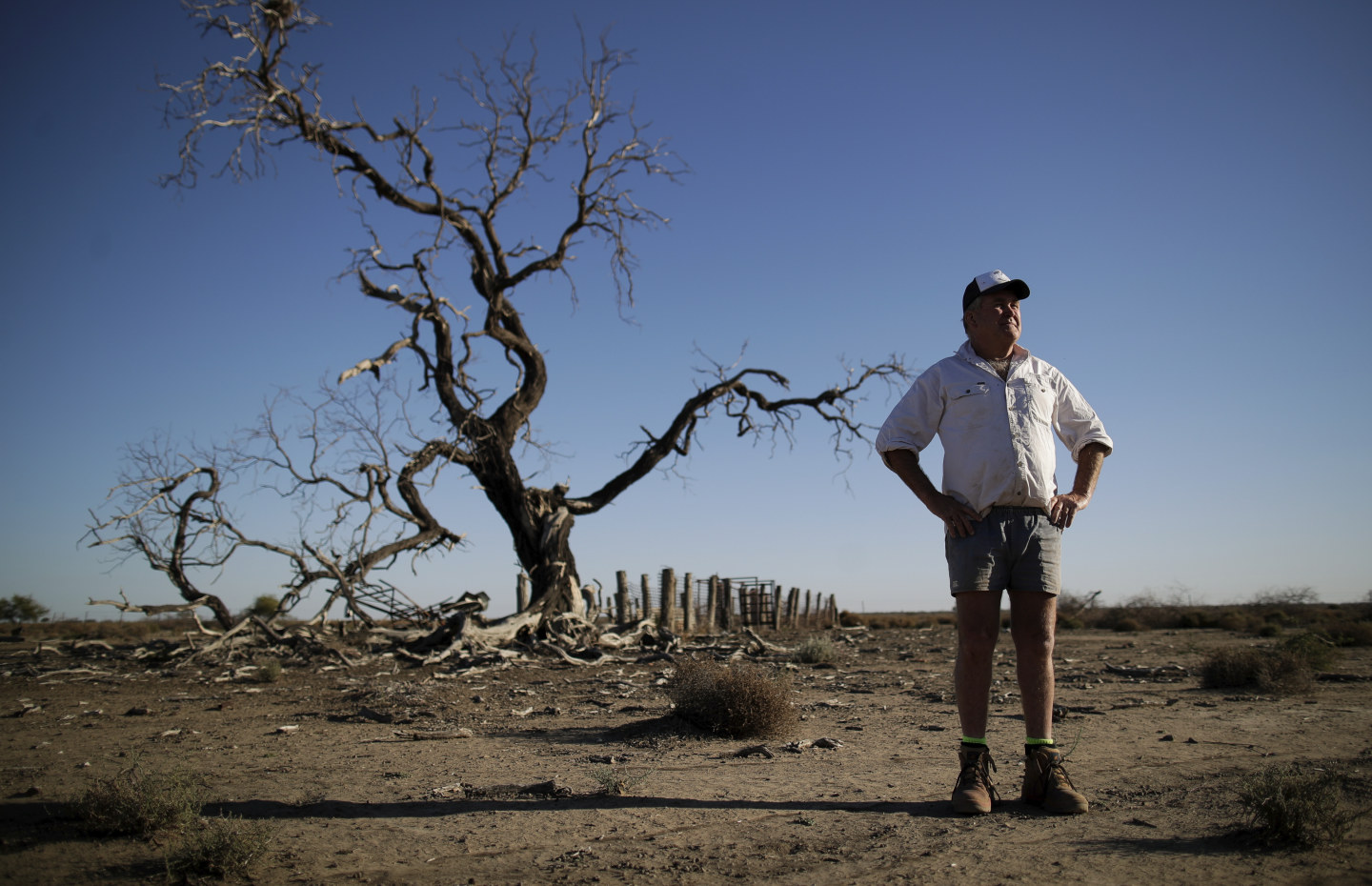 Drought changing the face of Australian farming