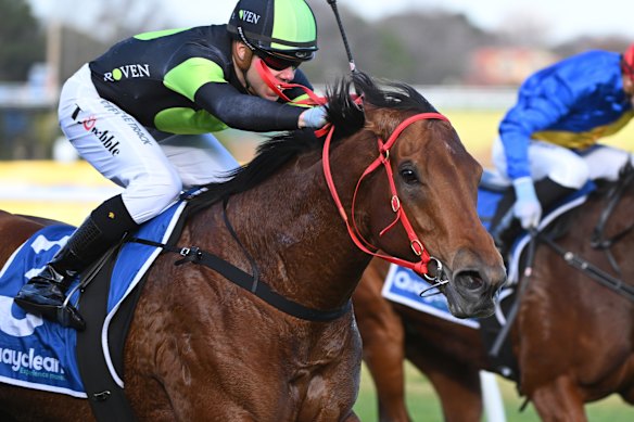 Warrnambool fall: Tom Prebble suffers spinal injury after Pulveriser ...