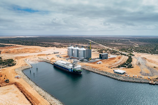 T-Ports’ $250m SA grain port on the block as owner eyes exit