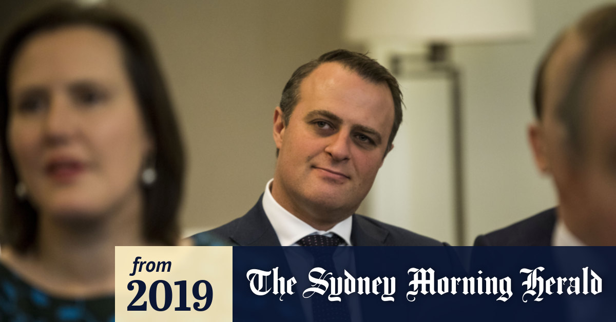 Information Commissioner launches 'preliminary inquiries' into Tim Wilson