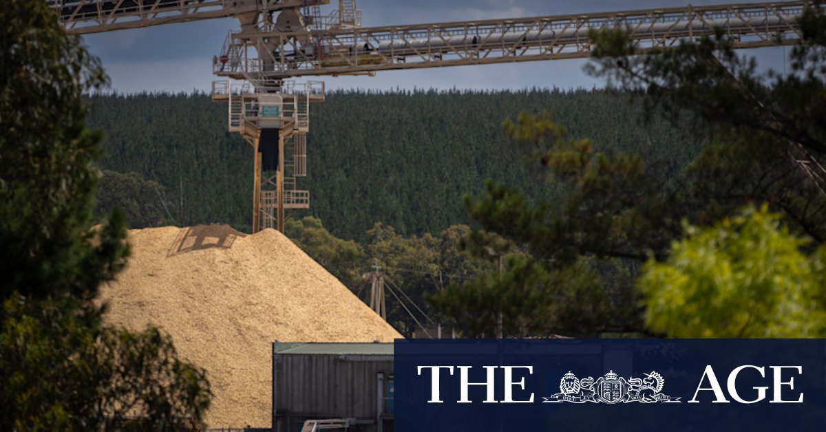 Opal paper mill sues Victoria government after lost jobs, plant closure